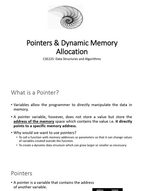 Image result for Dynamic Memory Allocation Pointers