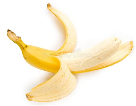 Image result for Java Banaan