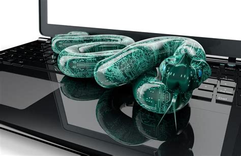 Image result for Anaconda Python