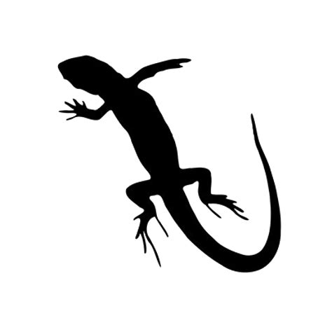 Image result for Lizard Traps