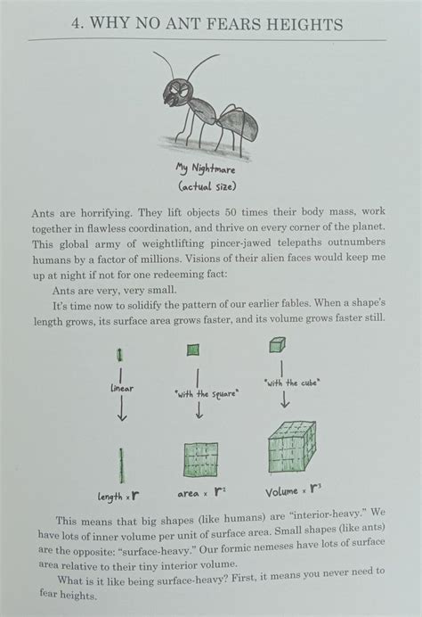 Image result for Insect Identification Book