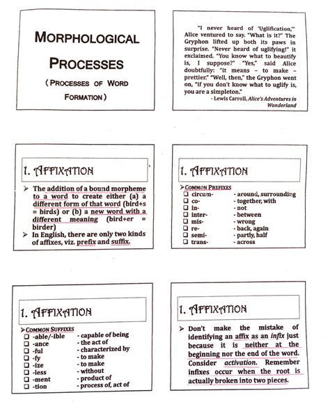 Image result for Types of Morphological Processes PDF