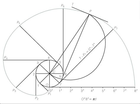 Image result for Involute Drawing