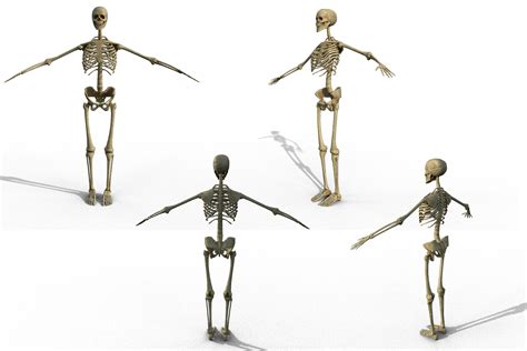 Image result for Skeleton Animation Unity