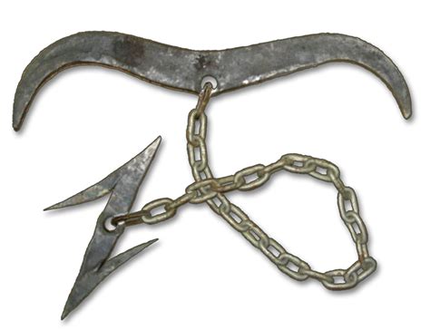 Image result for How to Trap Wolves