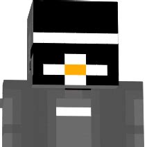 Image result for Sb737 Server IP Java