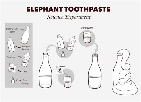 Image result for How to Make Elephant Toothpaste Step by Step Print Out