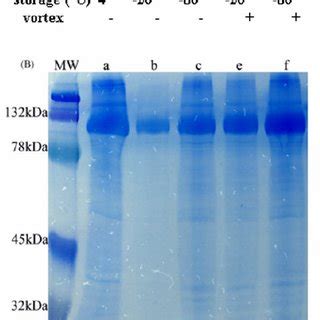 Image result for Vortexing