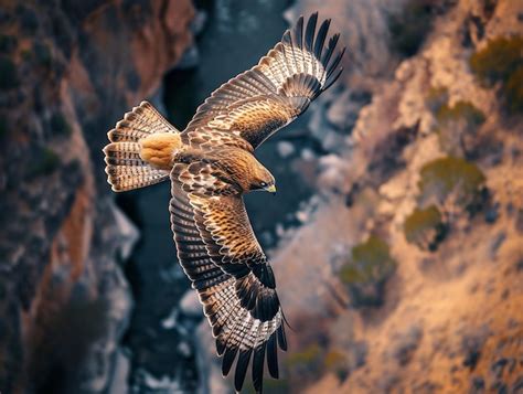 Image result for Eagle View Example