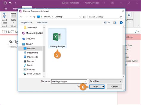 Image result for Embed Excel in OneNote