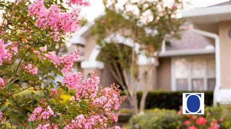 Image result for Cheap Florida Home Insurance