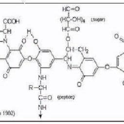 Image result for Humic Acid Structure