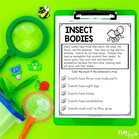 Image result for Insects Lessons