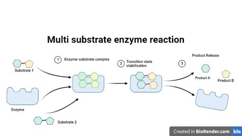 Image result for Substrate Reactions