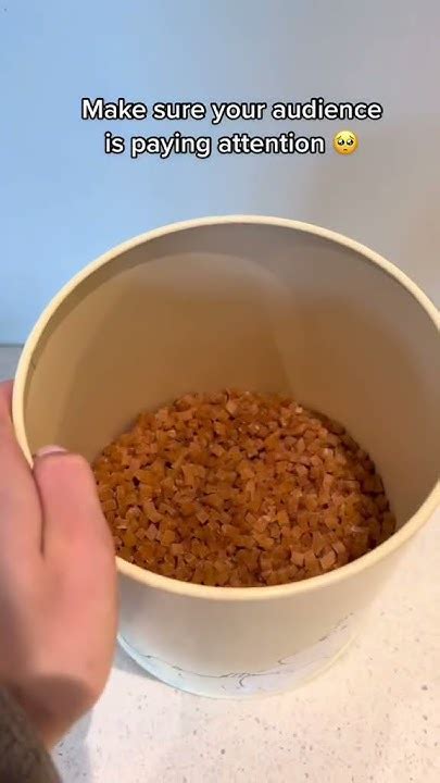 Image result for Cockapoo Shorts