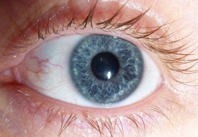 Image result for Eye Pattern Warm Spring