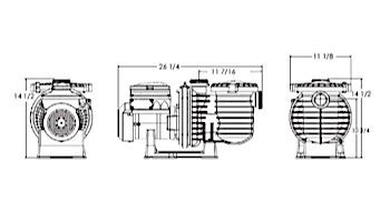 Image result for Sta-Rite IntelliPro Variable Speed Pool Pump