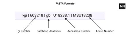 Image result for Convert Excel to Fasta Format