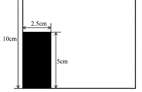 Image result for Column Collapse Problems Class