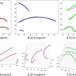 Image result for Types of Segments
