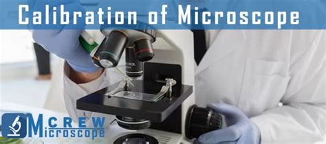 Image result for How to Calibrate Using Microscope