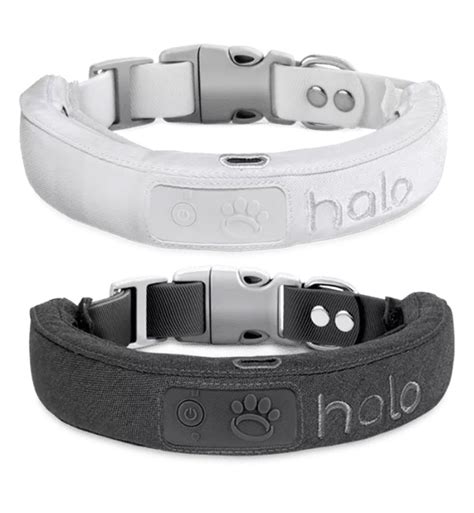 Image result for How to Use Training Collars