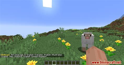 Image result for Reset Minecraft Java Language