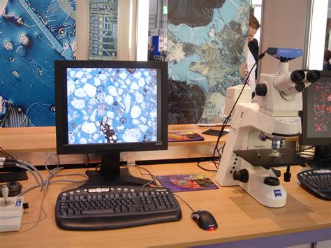 Image result for Calibration Factor Microscope