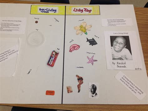 Image result for Example of Student Work Sample