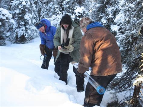 Image result for Snow Sampling