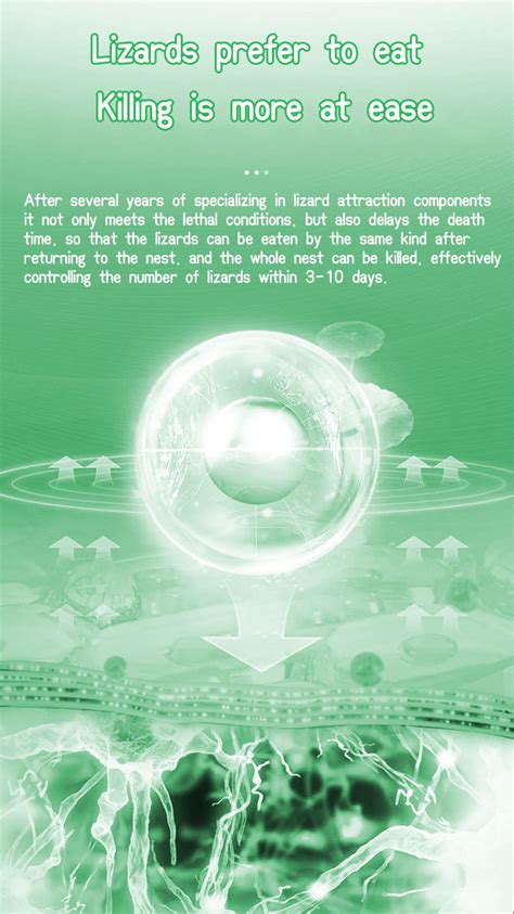 Image result for Go Lizard Trap