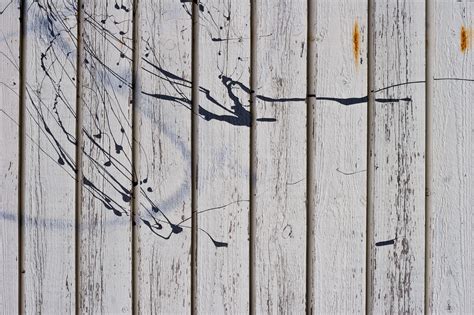 Image result for Splatter Texture