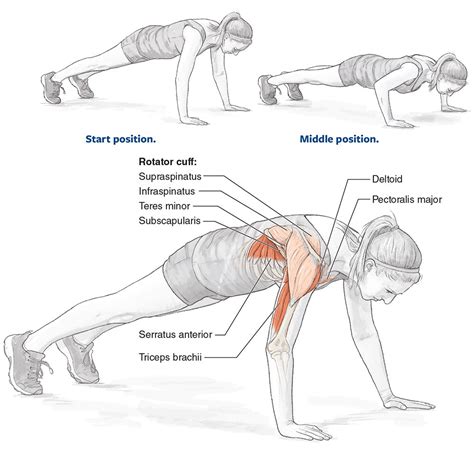 Image result for Push-Up Plus Exercise