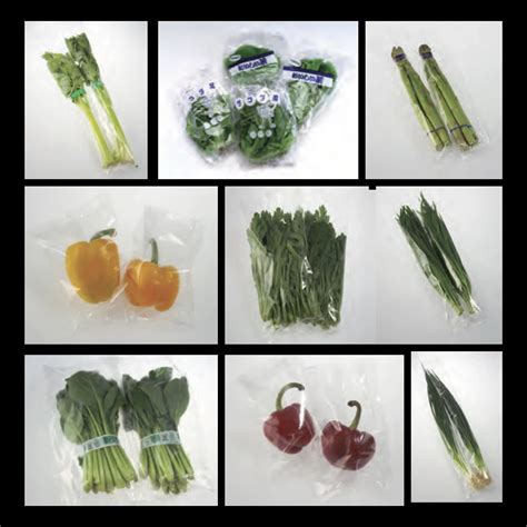 Image result for Flow Wrapper Machine