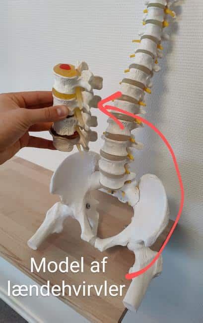 Image result for Discus Block Leg