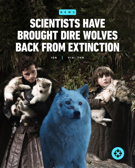 Image result for Extinct Wolves