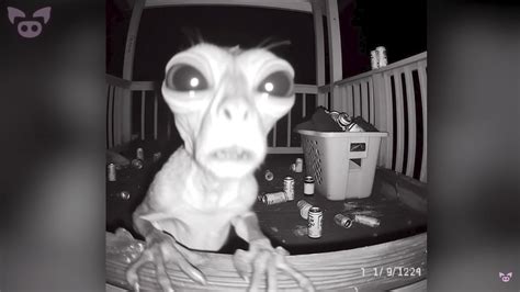 Image result for Slapped Ham Current