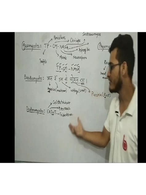 Image result for Biological Classification Emct Lesson Explanation