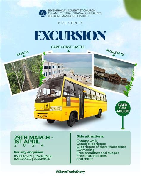 Image result for Excursion Flyer Design