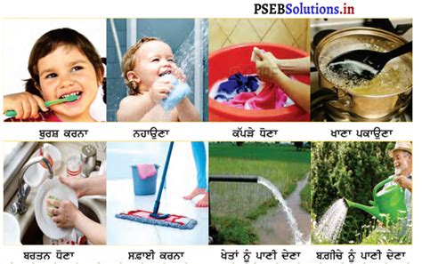 Image result for Punjabi Class 3rd PSEB Lesson 8 Exercise