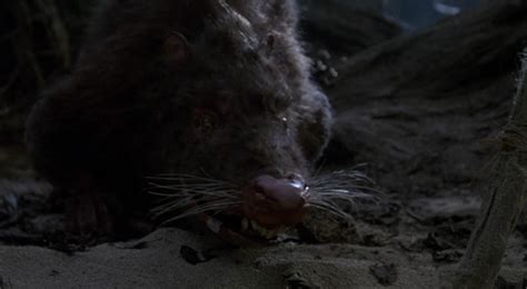 Image result for Rat Tthing From Princess Bride