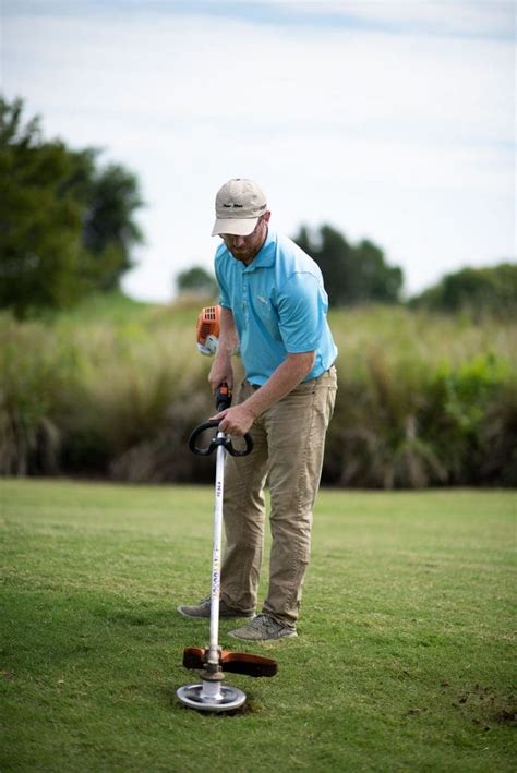 Image result for Edger Outfeed