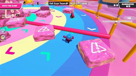 Image result for Fall Guys Winner