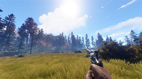 Image result for Gun On Back Rust