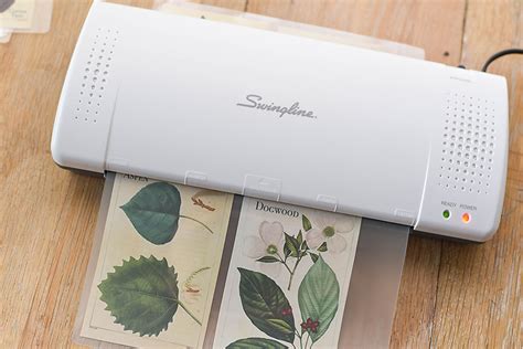 Image result for Science Flash Cards Printable