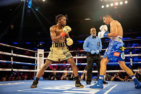 Image result for Boxing Training Davis