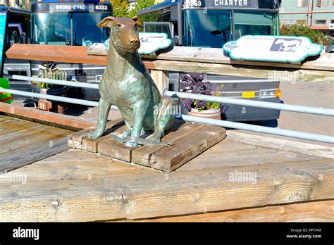 Image result for Patsy Ann