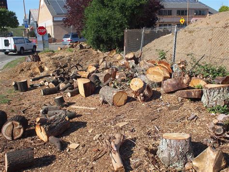 Image result for How to Make a Log Box