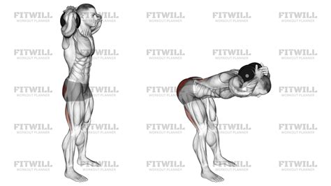 Image result for Good Morning Exercise