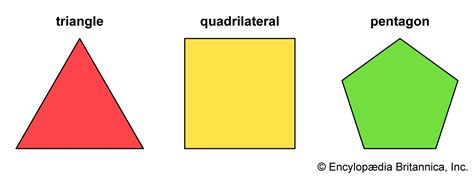 Image result for Examples of Polygons